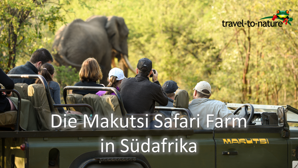 Makutsi Safari Farm - Südafrika | Individualreise | travel-to-nature