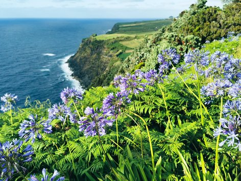 Beste Reisezeit für die Azoren: Tipps für Wale, Wandern & Strandurlaub