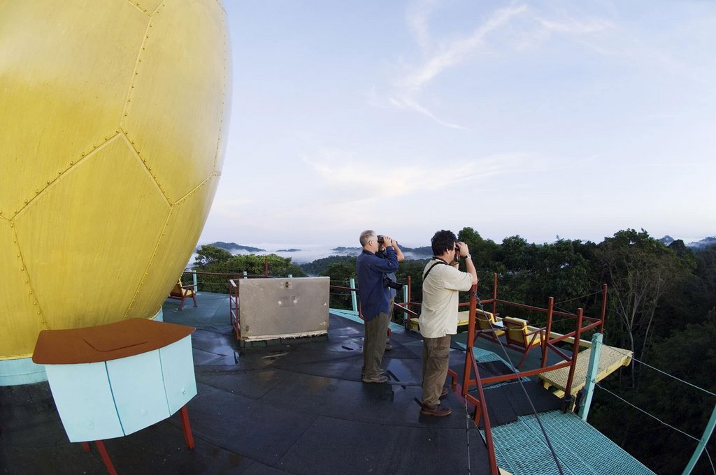 Vogelbeobachtung - Panama | Verlängerungsaufenthalt | travel-to-nature